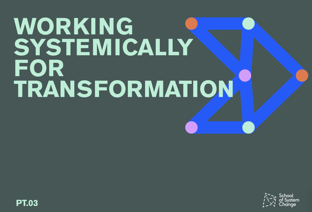 Working Systemically for Transformation by Saskia Rysenbry - School of ...